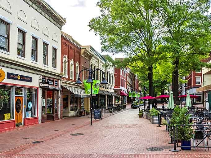 Tree-lined and unhurried, this stretch of downtown makes you want to cancel your return trip home immediately.