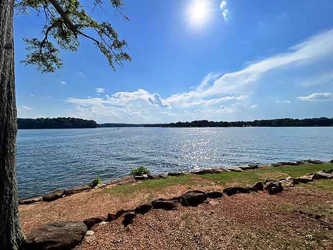 Sunlight dances across the water like a million tiny diamonds while pine branches frame this perfect lakeside moment.