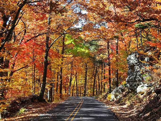 When the trees create a tunnel of autumn fire, you know you've found driving heaven in the hills.