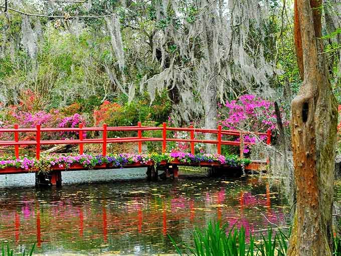 That red bridge pops like a cherry on top of this swampy sundae of beauty and mystery.