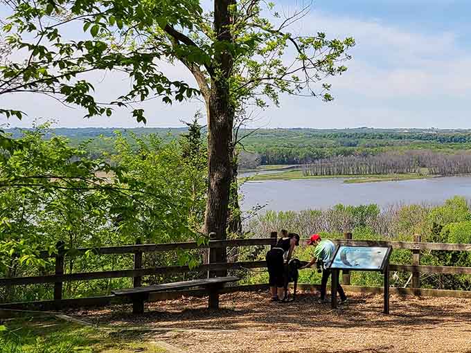A shaded overlook where visitors pause to read about the landscape while the river sparkles below like liquid silver.