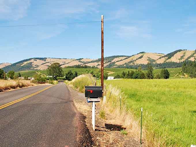 That lonely mailbox has the best commute view in America, surrounded by golden hills and endless blue skies.