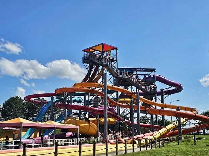 Under that perfect blue sky, every colorful slide promises a different adventure and the same happy ending.