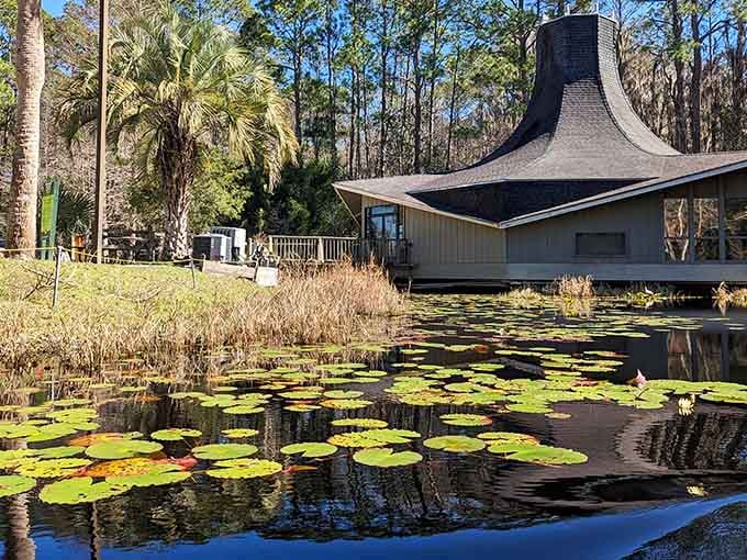 Lily pads float like nature's dinner plates while that distinctive building watches over this ancient wetland ecosystem.