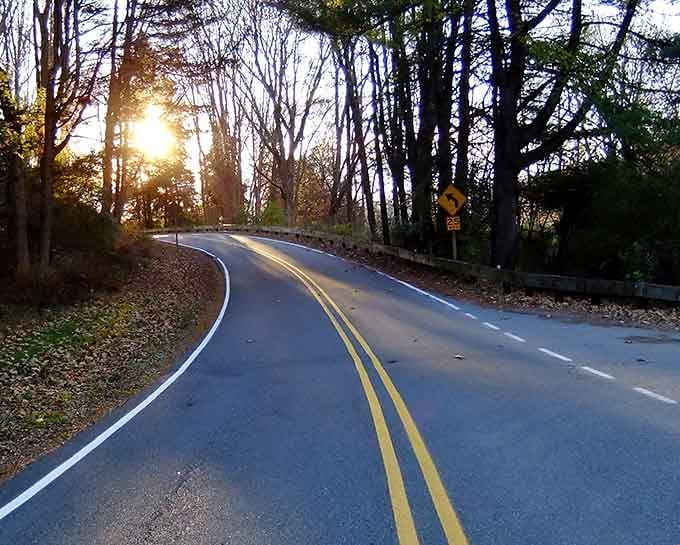 Golden hour transforms this winding road into something magical, where autumn leaves dance in the fading light.