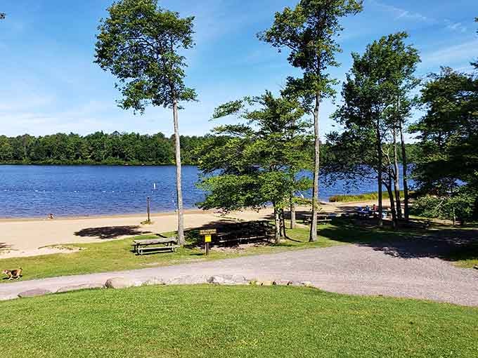 That sandy beach and sparkling lake prove Pennsylvania does summer right, no ocean required for perfection here.