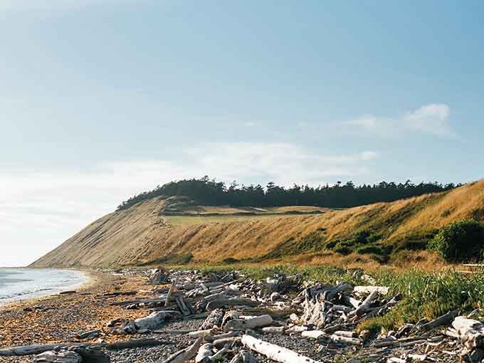 Driftwood scattered like nature's own sculpture garden, with those dramatic cliffs standing guard over this peaceful shore.