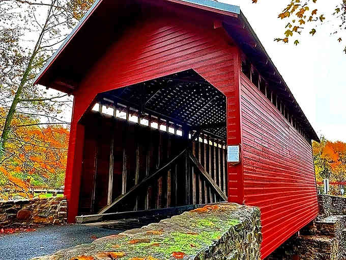 Autumn leaves frame this crimson gem like a postcard, proving some things really do get better with age.