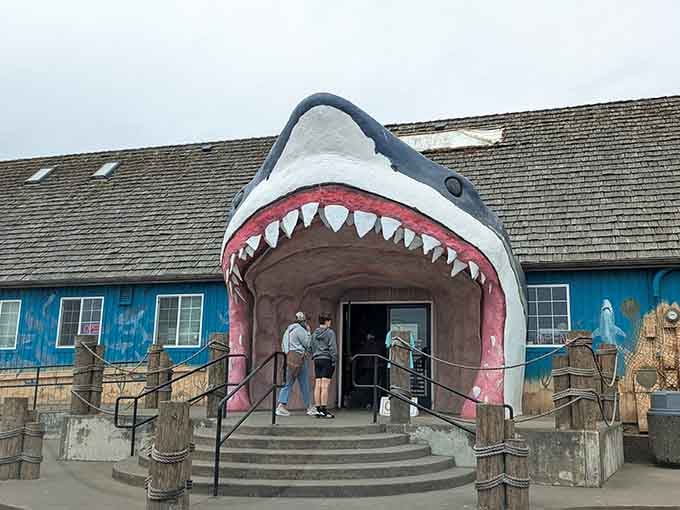 Those teeth look sharp, but the only thing getting bitten here is your sense of adventure and wonder.