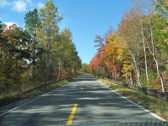 1b. talladega scenic drive