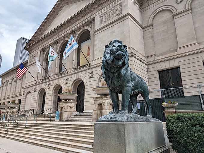 Those bronze lions have been the unofficial greeters since 1894, watching over art lovers with timeless dignity and patience.