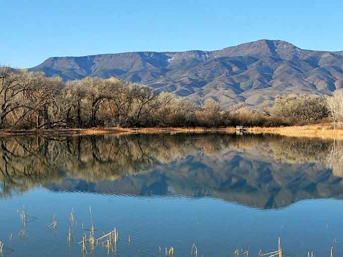 Mirror-perfect reflections on the lagoon prove that Arizona does have water, and it's absolutely stunning when it shows up.