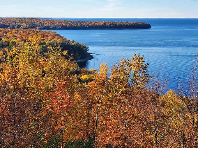 When Mother Nature shows off her fall wardrobe, even the birds stop to admire the view.