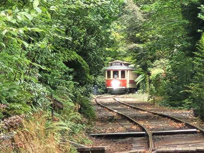 Winding through this green corridor, the vintage trolley discovers paths where modern cars fear to tread.