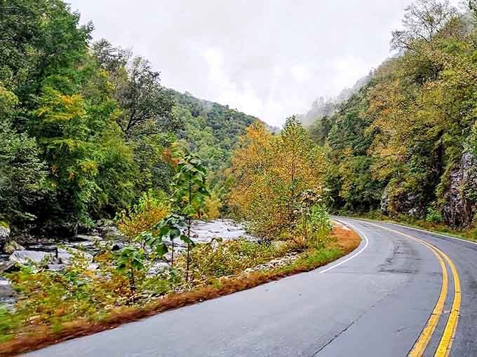 When the mist rolls through these mountains, you half expect a time machine to materialize around the bend.