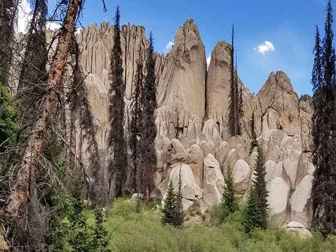 These towering spires look like they're auditioning for a fantasy film, and honestly, they'd get the part immediately.