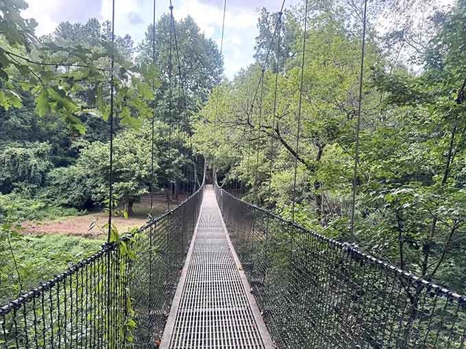 Looking down that 180-foot span, you realize this isn't your average neighborhood walking path anymore.