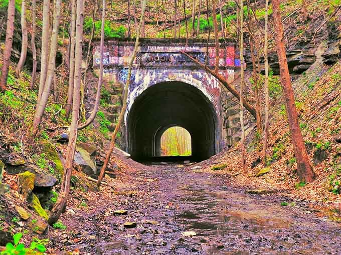 Autumn leaves frame the tunnel entrance like nature's own horror movie poster, and honestly, the casting is perfect.