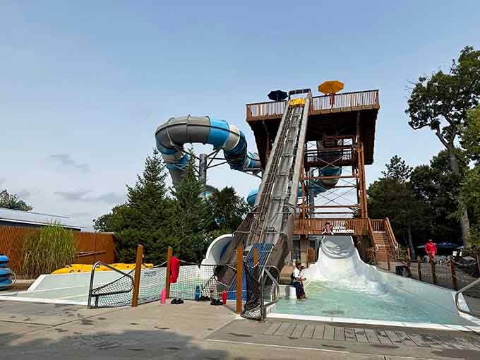 Speed slides that make your stomach drop faster than the stock market, but infinitely more enjoyable.