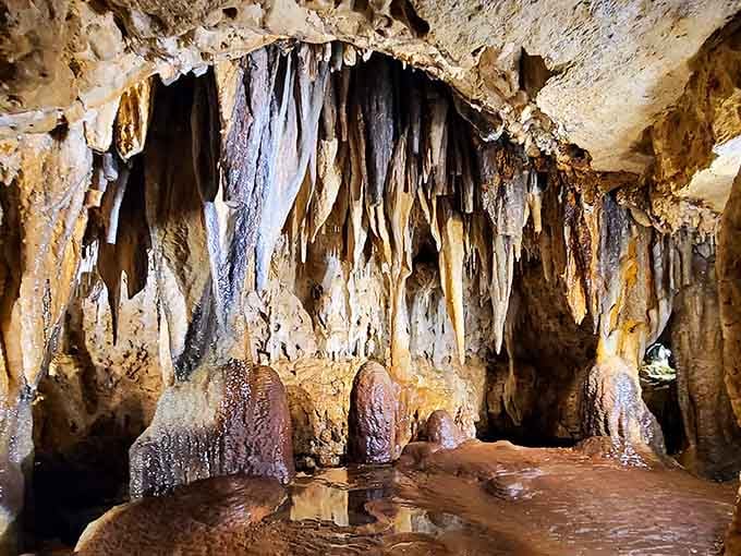 These delicate formations hang like frozen waterfalls, each one a masterpiece of mineral and time.