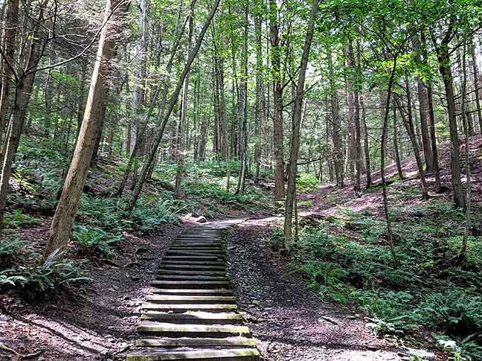 Stone steps wind through the forest like nature's own stairway to heaven, minus the Led Zeppelin.