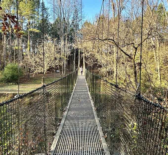 Winter hiking has its own quiet magic when the trees are bare and the bridge stands proud.
