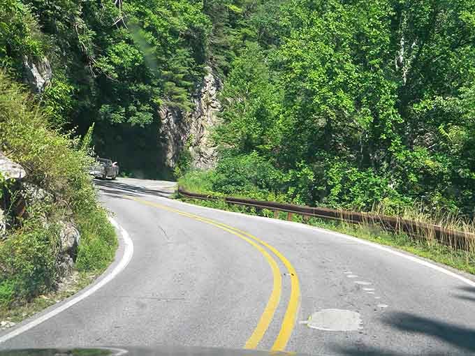 The kind of sweeping turn that makes you grateful for power steering and even more grateful for the view.