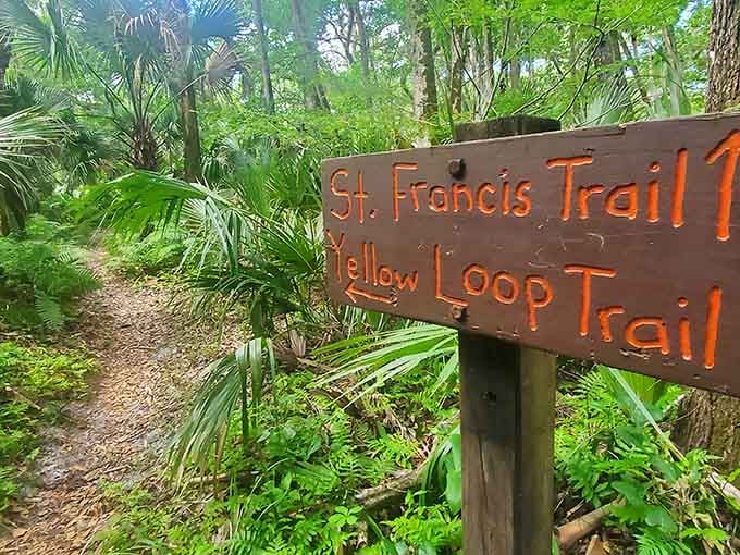 Follow the yellow signs like breadcrumbs through the wilderness, leading you toward history and adventure combined.