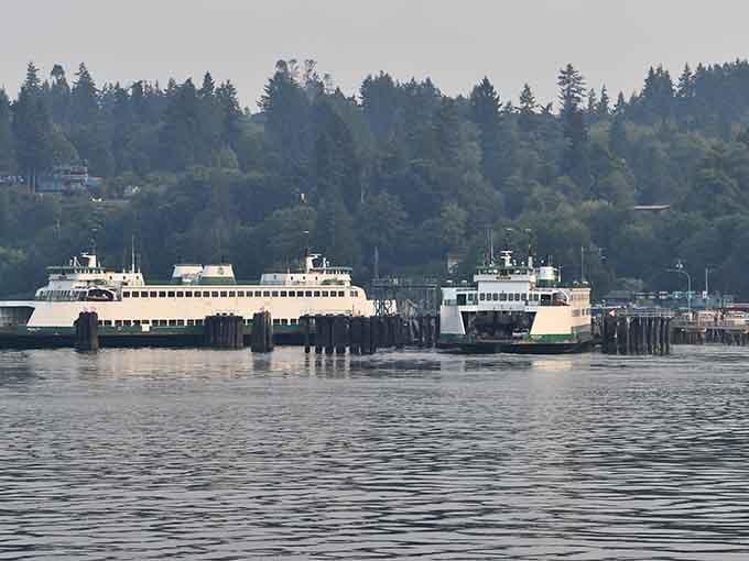 The ferry fleet waits patiently at dock, ready to transport you from mainland chaos to island serenity.