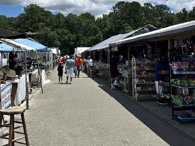 Wide aisles invite leisurely browsing under sunny skies, where every turn reveals another vendor's carefully curated collection of goods.