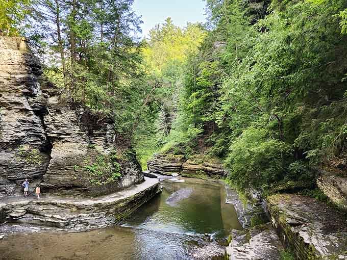 The gorge opens up to reveal its secrets, towering walls framing water's patient handiwork.