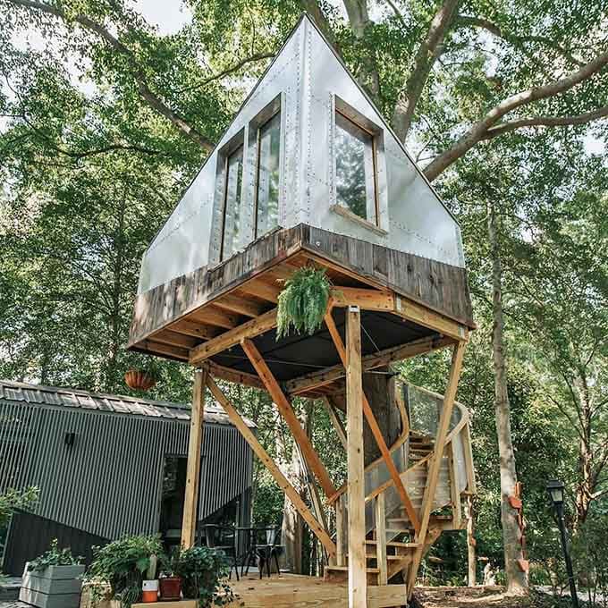 This isn't your backyard plywood platform—it's a legitimate architectural marvel perched among the branches.