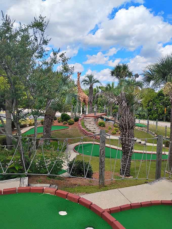 That giraffe has seen some questionable putting techniques, but it's not judging your golf swing today.