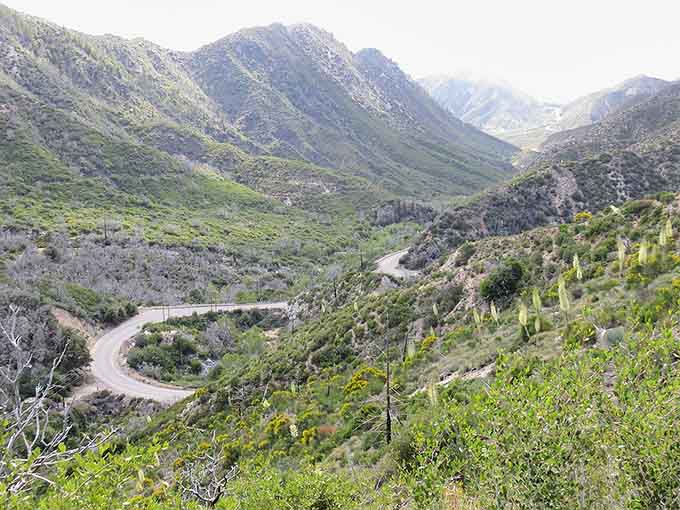 Lush valleys unfold below like nature's own carpet, stretching toward distant peaks in endless green waves.