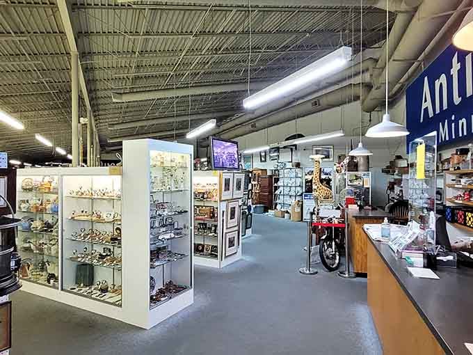 Wide aisles mean you can actually breathe while browsing, unlike those claustrophobic antique shops that trigger mild panic.