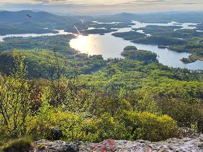 Lake Chatuge spreads out like nature's own masterpiece, proving Georgia knows how to show off.
