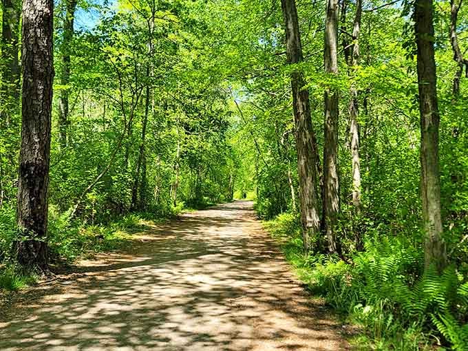 This tree-lined path practically begs you to take a leisurely stroll and forget your phone exists.