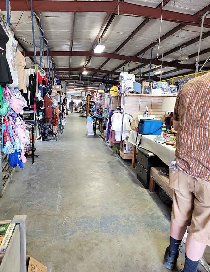 These aisles stretch like highways of hope, each turn promising discoveries that'll make your friends jealous.
