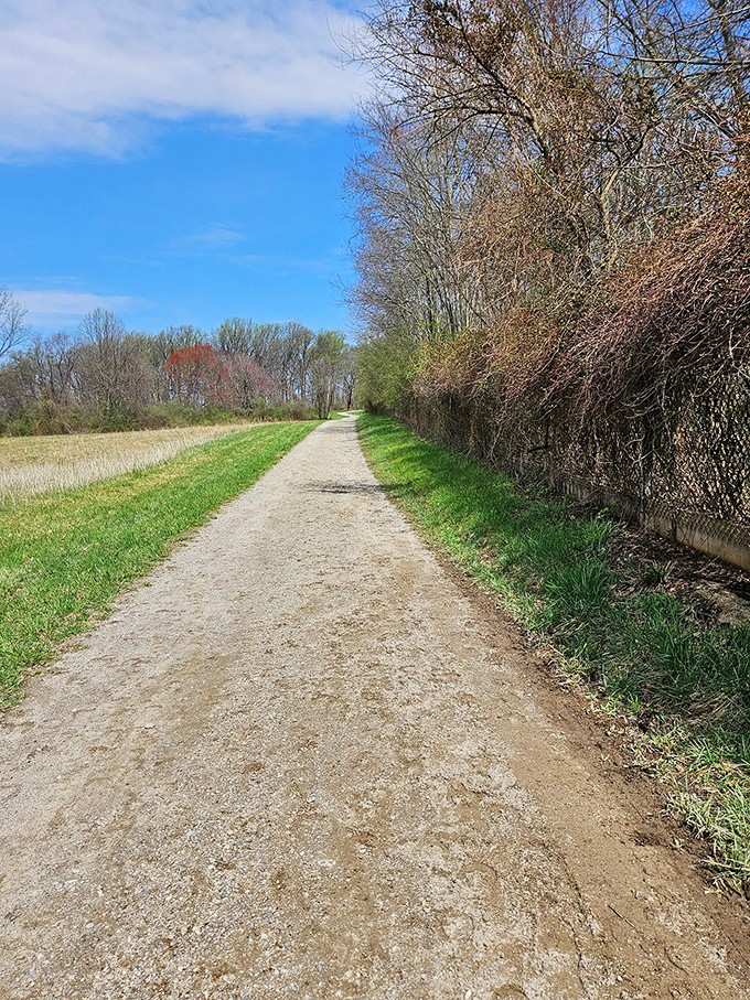 A walking path so well-maintained you can actually look up at the scenery instead of down at your feet.