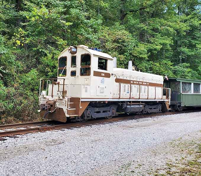 This cream and brown beauty proves that vintage locomotives have more personality than most people you'll meet at brunch.