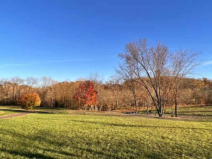 This meadow proves that Pennsylvania's natural beauty doesn't need filters, just sunshine and a little appreciation.