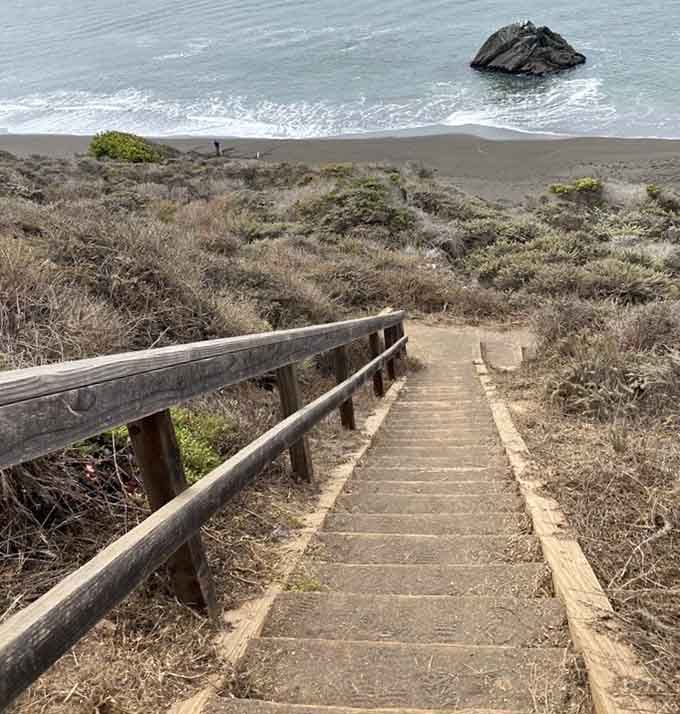 These weathered wooden stairs descending through coastal scrub are your gateway to volcanic paradise below.