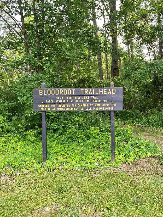 The trailhead welcomes you with all the essential information, proving that even Mother Nature believes in good signage and clear directions.