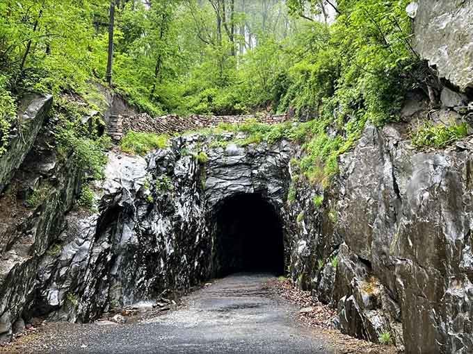 Nature's reclaiming this portal with moss and greenery, turning 19th-century engineering into something almost mystical and enchanting.