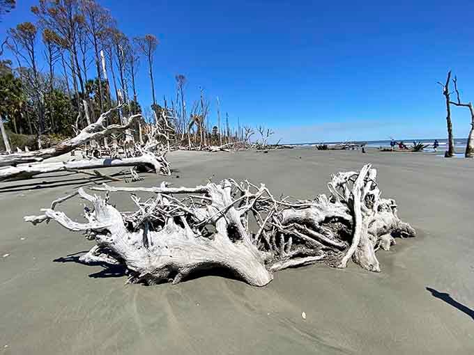 These driftwood sculptures prove that Mother Nature doesn't need an art degree to create masterpieces.