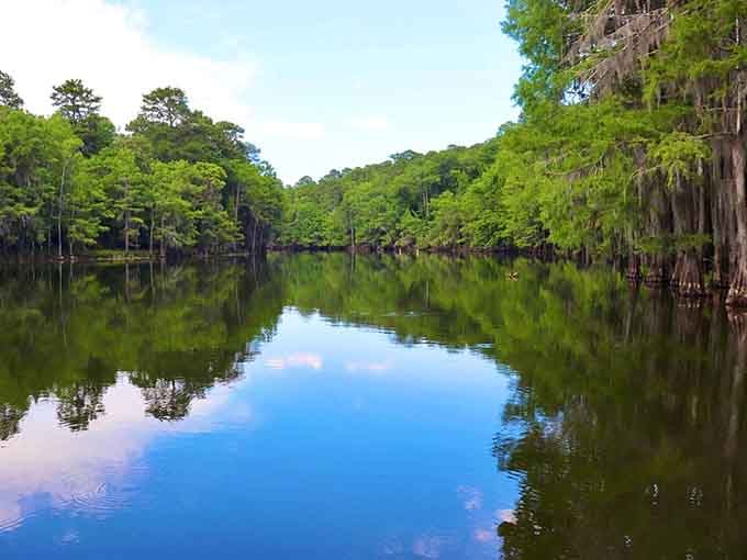Mirror-perfect reflections prove that Mother Nature is the ultimate artist, no filter needed for this Texas beauty.