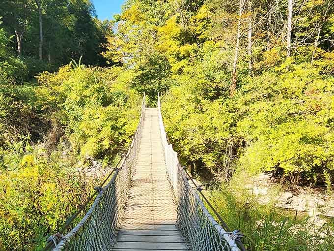 This swaying bridge leads fossil hunters across the gorge to geological treasures waiting below.