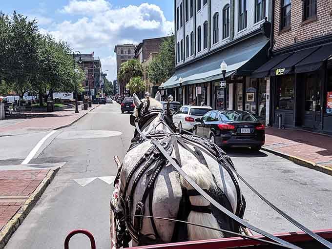 Rolling past columns that have witnessed centuries of Southern drama, your horse-drawn time machine glides through architectural perfection.