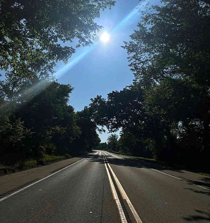 When the road looks this good after a rain, you know you're heading somewhere special and wonderfully uncrowded.