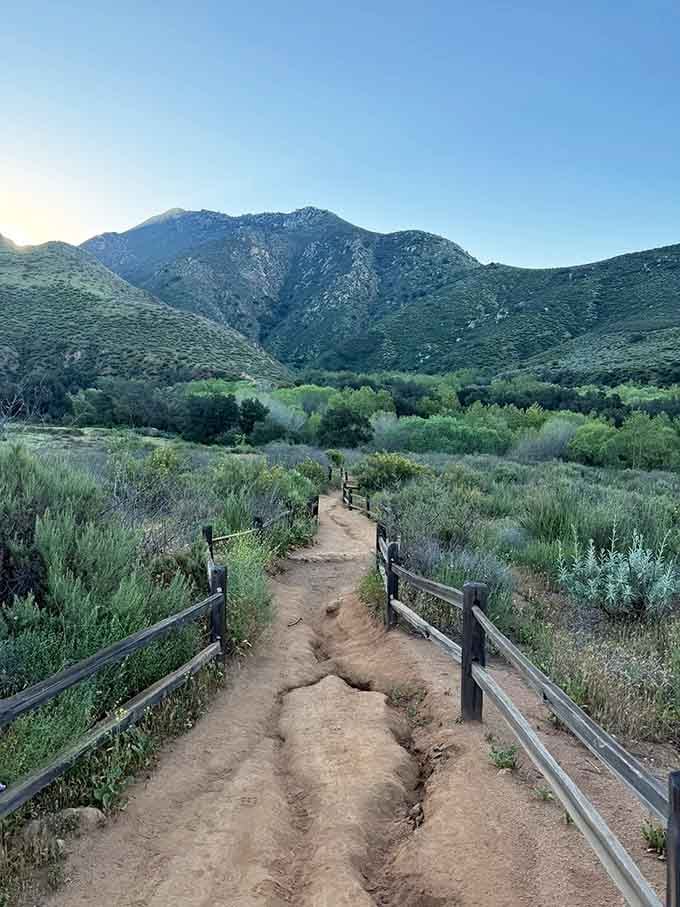 The trail beckons with wooden fences guiding your way, like nature's own velvet rope to an exclusive show.